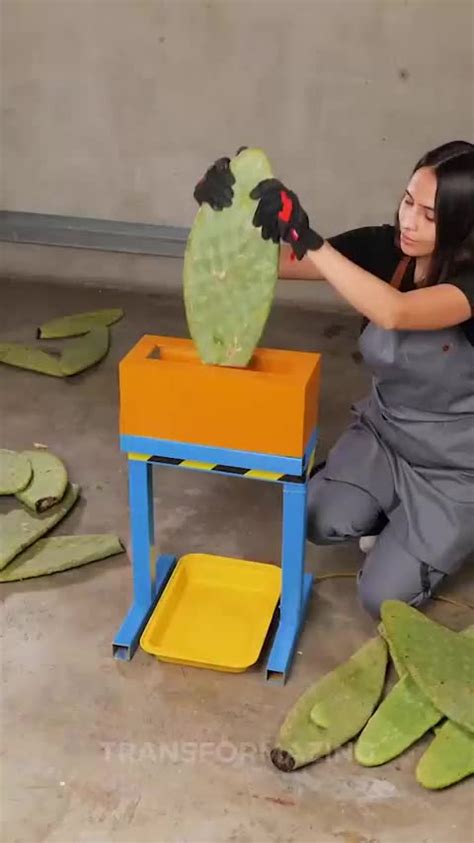 Fabricación De Cuero Vegetal Album On Imgur