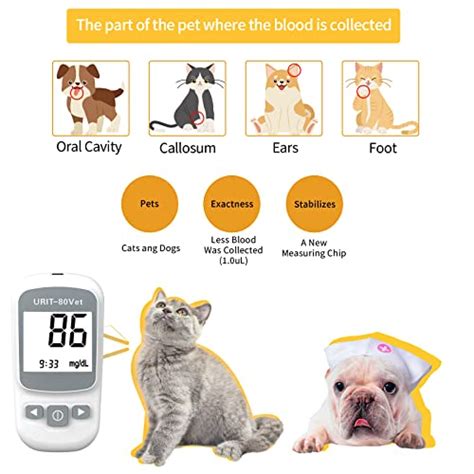 Pet Blood Glucose Meter For Dog Cat With 50 Test Strips Blood Suger