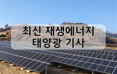 Daum 카페