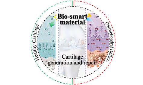 Articles Microstructures Oae