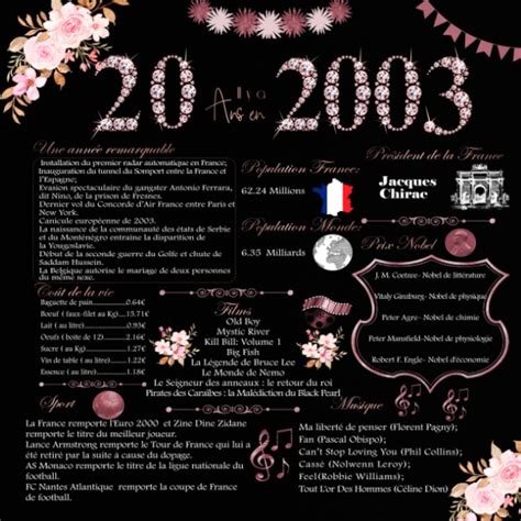 Amazon Fr Livre D Or Anniversaire 20 Ans Retour En 2003 Rose Gold
