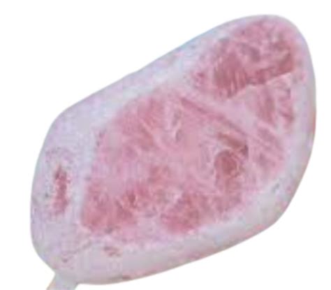 Visão Quartz Rosa Meu Sexto Sentido