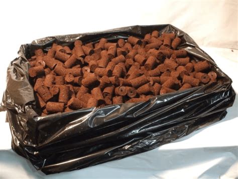 Jiffy Preforma Plug Happy Harvest