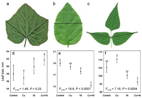 Experimental Evidence Questions The Relationship Between Stress And