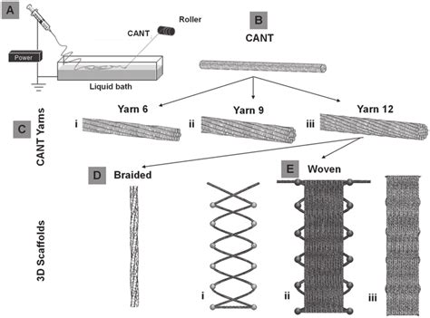 Schematic Representation Of Electrospinning Setup And Hierarchical