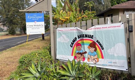 Dr Laura Morrison On Linkedin Our Latest Coding Workshop On North Shore