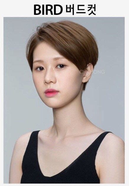 여자 숏컷 스타일 단발이 지겨워질땐 차홍아르더 본점 이상미디자이너 가격 위치 네이버 블로그 짧은 헤어 컷 헤어스타일