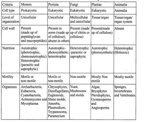 Samacheer Kalvi 11th Bio Botany Guide Chapter 1 Living World