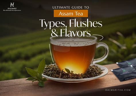 Tea Of Assam History Varieties And Health Benefits