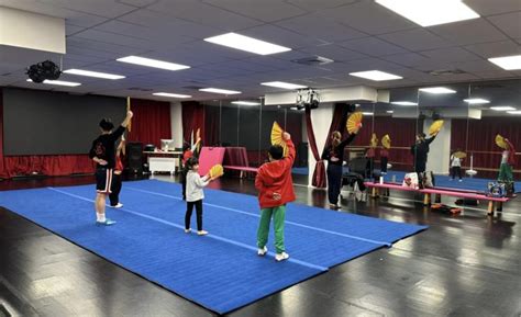 The Term 3 Chinese Wushu Kungfu Community Class 新西兰华夏多元文化艺术交流中心