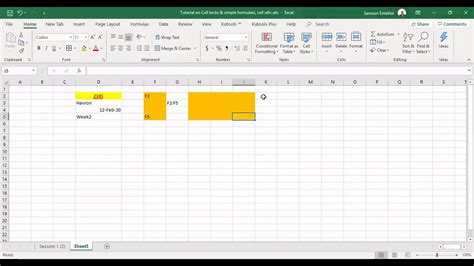 Havron Elearning Hub Excelcell Basics Youtube