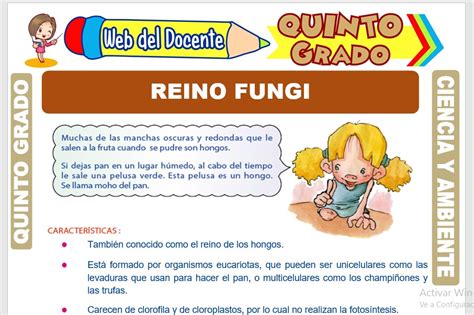 Reino Fungi Para Quinto De Primaria Fichas Para Imprimir Porn Sex Picture