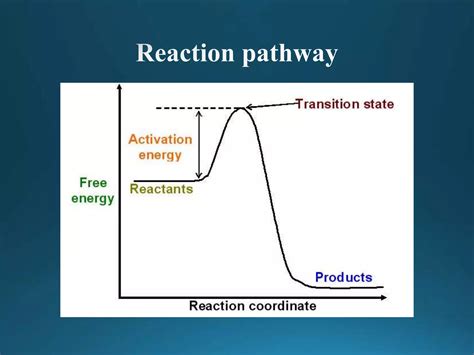 Actvation Energy And Enzymes Pptx