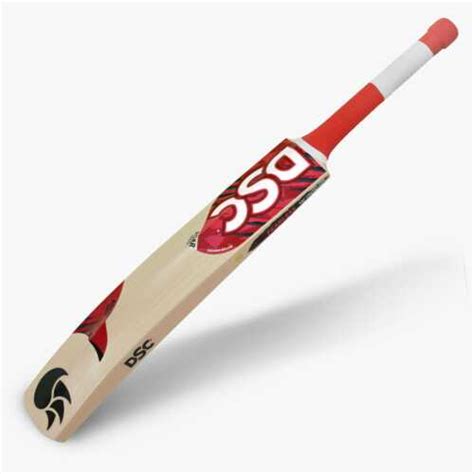 Dsc Roar Terra Kashmir Willow Bat Dnc Lk