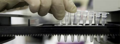 Health Monitoring Ceva Poultry