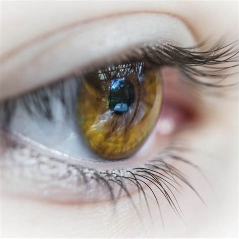 ¿qué Es El Glaucoma Y Cómo Te Afecta El Blog De Alain Afflelou