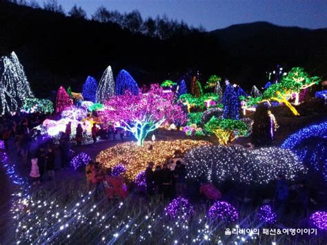가평 아침고요수목원 아침고요수목원 별빛축제 오색 별빛 정원전 네이버 블로그