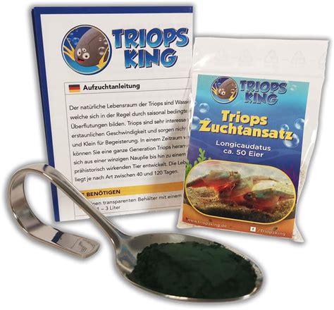 Triops King Longicaudatus Zuchtansatz mit ca Urzeitkrebs Eiern Zysten Deutschland Züchte