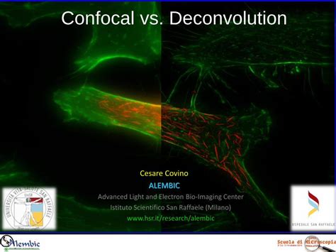 pdf confocal vs deconvolution scuola di microscopia 3d or 2d