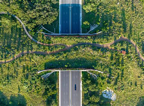 Land Bridge — Phil Hardberger Park Conservancy