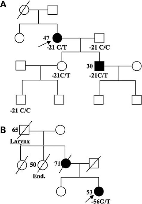 Melanoma Pedigrees Carrying The Cdkn2a P16 Ink4a 5 0 Utr C 21c T
