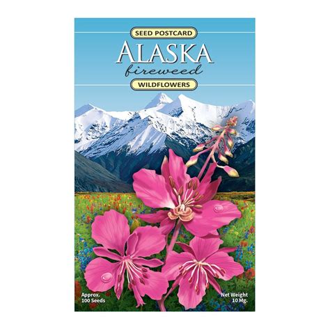 Seed Postcard Fireweed Forests Tides And Treasures