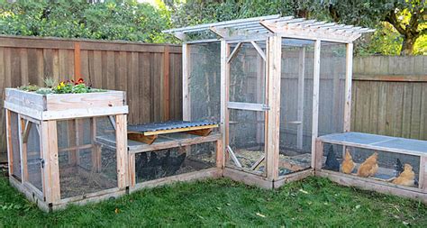 Salmonellabackyard Flock Tpg Online Daily