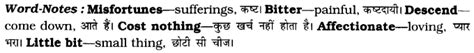 Cbse Class 8 English Speech Writing