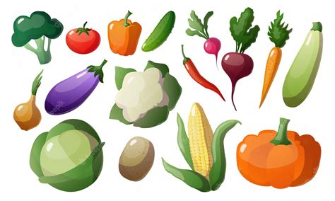 Premium Vector Vegetables Set Vector Flat Illustration Healthy Food