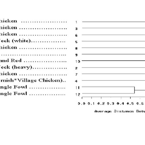 Dendrogram Showing The Results Of Cluster Analysis On The Rapd Profiles