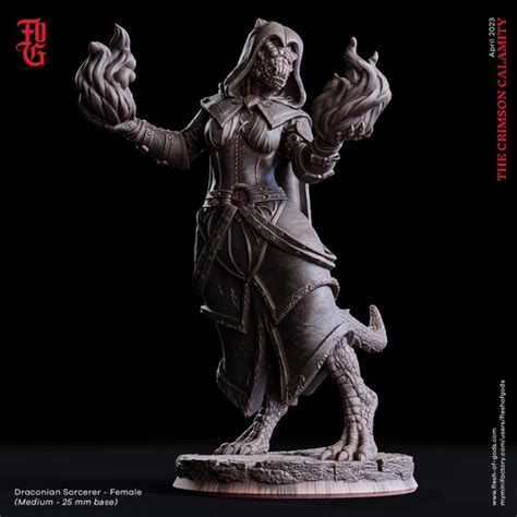 Draconian Sorcerer Female Free High Quality Models