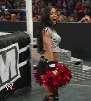 Aj Lee  Elimination Chamber