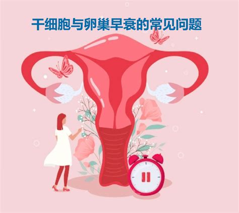 干细胞治疗卵巢早衰的治疗效果如何 杭吉干细胞科技