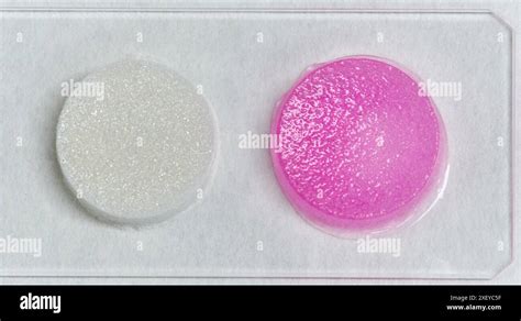 Fatrix Decellularized Regenerative Matrix Oriented To The Treatment Of