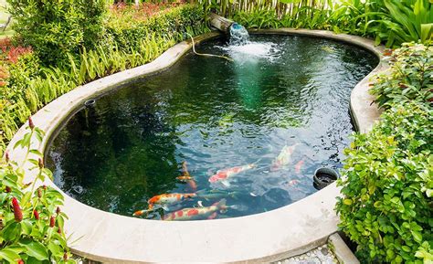 Large Backyard Fishing Ponds