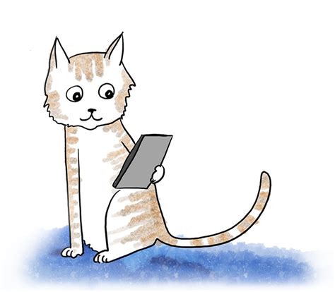 Stop Sextortion Tips For Caregivers