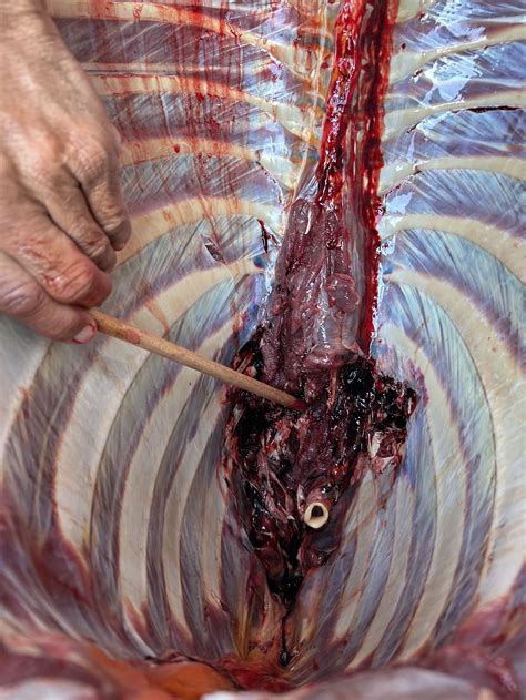 Terminal Performance Articles