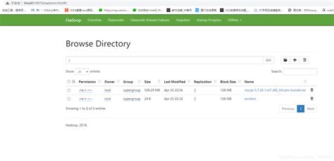 Hadoop之hdfs使用node18020相当于root下吗 Csdn博客