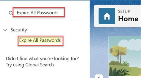 Expire Password For Users In Salesforce