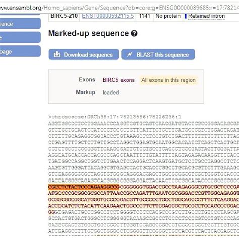 survivin gene sequence on ensembl genome browser 92 download