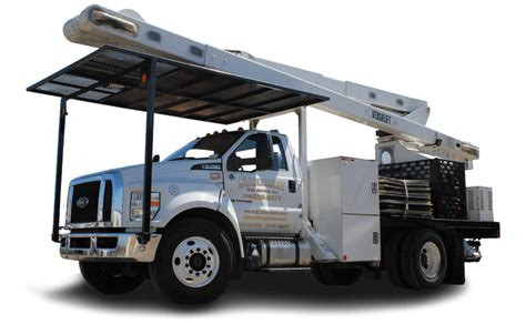 Strobert Tree Services Tree Care Company In Delaware