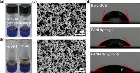 A Photograph Of Pani Ha Hydrogel And Pani Hydrogel B Pictures Of