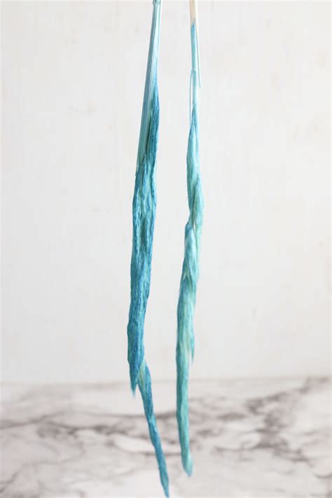 How To Dye Pampas Grass Tutorial The Sweetest Digs