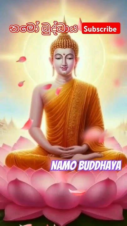 Namo Buddhaya🌹සිත නිවන බුදු රුව Buddha Shorts Youtube