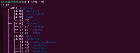 How To Check The Size Of A Directory In Linux