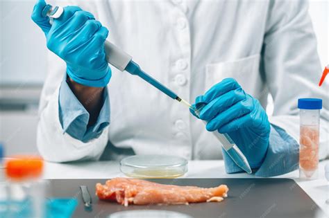 Premium Photo Food Safety And Quality Assessment Microbiologist Testing Poultry Sample For The