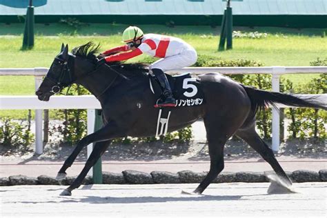 【釜山s】ダノンセシボンが人気に応えて2馬身差の快勝でオープン入り サンスポzbat
