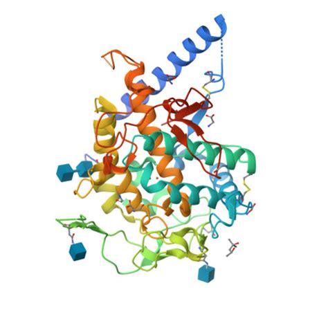 Rcsb Pdb 6z1s Structure Of Polyphenol Oxidase Mutant G292n From Thermothelomyces Thermophila