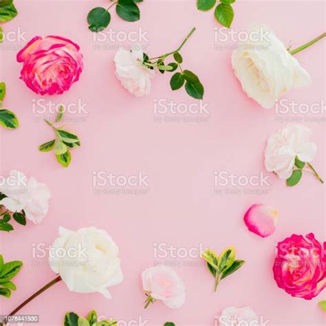 핑크 바탕에 백색과 빨강 장미와 꽃 구성 평면 위치 최고 볼 수 있습니다 0명에 대한 스톡 사진 및 기타 이미지 0명 개념