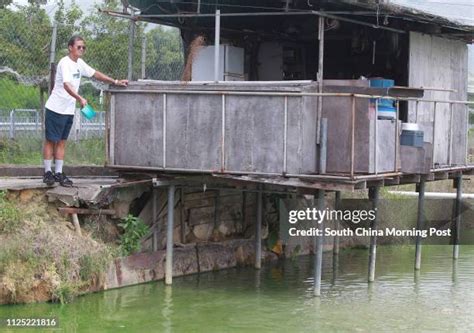 43 Mei Chi Cheng Photos And High Res Pictures Getty Images